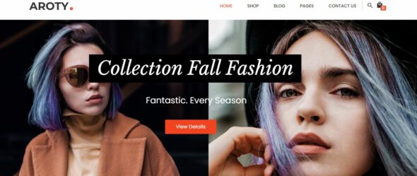 Top +20 Simple WordPress Themes (Expert-picked) | PhysCode