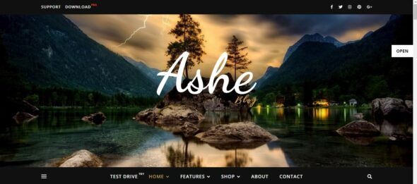 15+ Best Free WordPress Themes | PhysCode