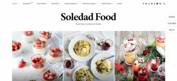 15 WordPress Food Blog Theme for (Beautiful Designs) | PhysCode
