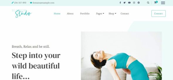 The Best World’s Free WordPress Themes For Business | PhysCode