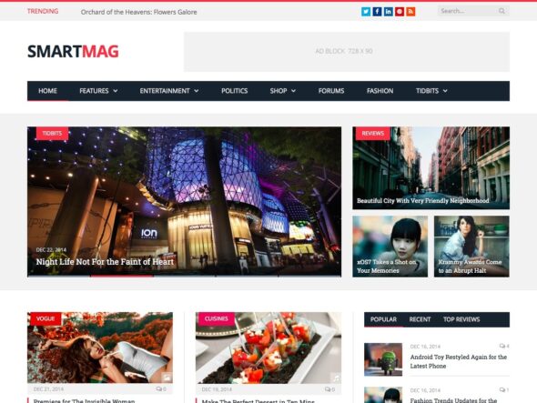 These Are The 11 Best Magazine WordPress Themes | PhysCode